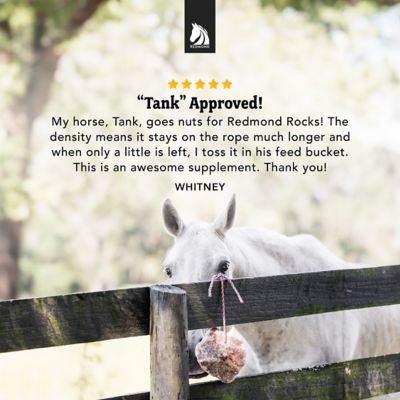 Redmond Horse 3 lb. Rock on Rope at Tractor Supply Co.