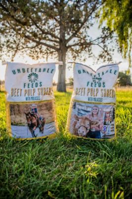 Unbeetable Feeds Beet Pulp Shreds with Molasses, 30 lb. at Tractor ...