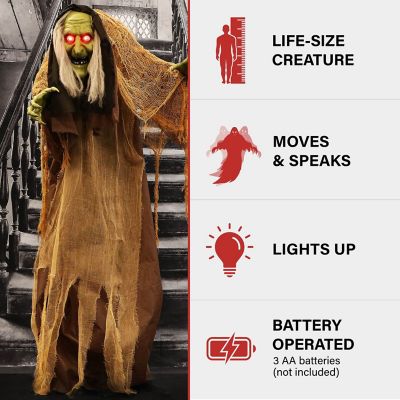 Haunted Hill Farm 57 in. Sedona the Brown Talking Hunchback Witch with ...