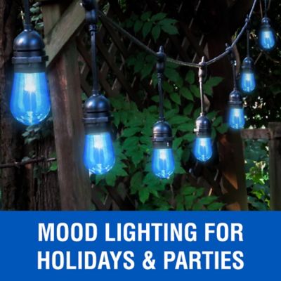 Red Shed 24 ft. Indoor/Outdoor Color-Changing LED String Lights at ...