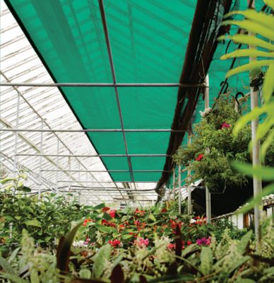 EZ Products 6 ft. x 100 ft. Sun Shade Fabric, Green at Tractor Supply Co.
