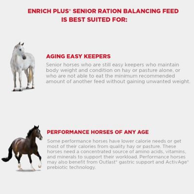 Purina Enrich Plus Senior Ration Balancing Horse Feed, 50 lb. Bag. at ...