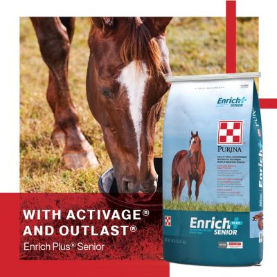 Purina Enrich Plus Senior Ration Balancing Horse Feed, 50 lb. Bag. at ...