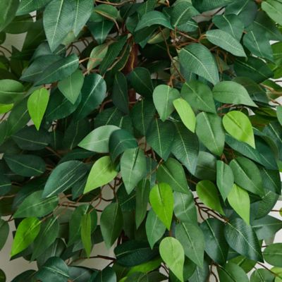 Nearly Natural 6 ft. Artificial Ficus Tree (No Pot) at Tractor Supply Co.