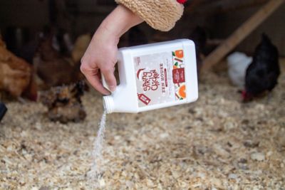 Spring Chicken Holiday Zen House Coop Deodorizer, 2.5 lb.