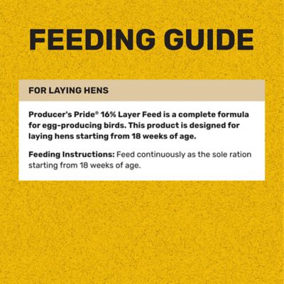 Producer's Pride 16% Layer Pelleted Chicken Feed, 50 lb. Bag at Tractor ...