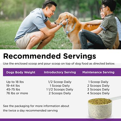 Nutri-Vet Daily Digestive Powder Supplement for Dogs, 1.76 lb., 30 Day ...