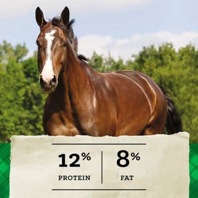 Nutrena Triumph 12-8 Pelleted Horse Feed, 50 lb. Bag at Tractor Supply Co.