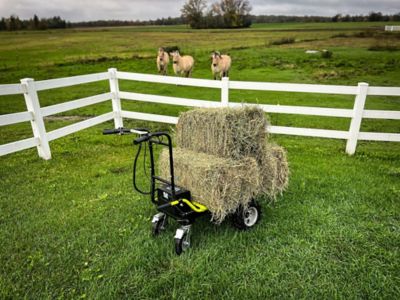 Yard Tuff 4-Wheel Electric Cart at Tractor Supply Co.