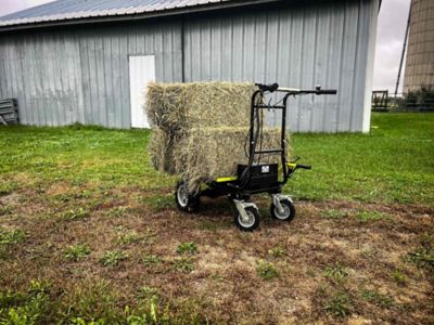 Yard Tuff 4-Wheel Electric Cart at Tractor Supply Co.