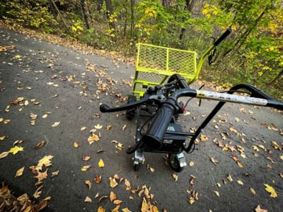 Yard Tuff 4-Wheel Electric Cart at Tractor Supply Co.