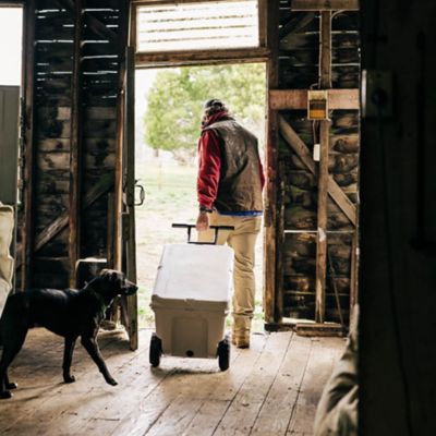 YETI 50 qt. Tundra Haul Wheeled Cooler at Tractor Supply Co.