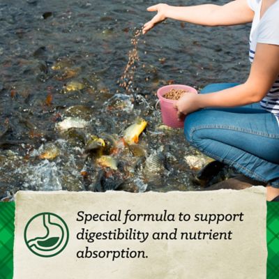 Nutrena Nature's Canvas Farm Pond Floating Catfish Feed, 40 lb. at ...