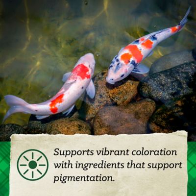 Nutrena Nature's Canvas Koi Fish Feed, 20 lb. Bag at Tractor Supply Co.