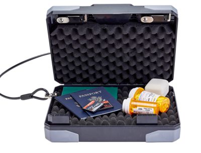 Hornady 2 Gun Combo Lock TrekLite LockBox, XXL at Tractor Supply Co.