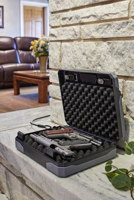 Hornady 2 Gun Combo Lock TrekLite LockBox, XXL at Tractor Supply Co.