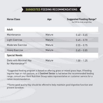 Kent Blue Seal Sentinel Senior Horse Feed, 50 lb. Bag at Tractor Supply Co.