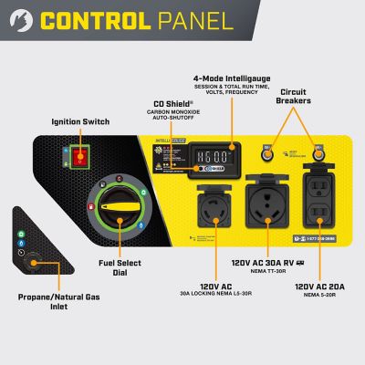 Champion Power Equipment 5,000/4,000-Watt Tri Fuel Portable Generator ...