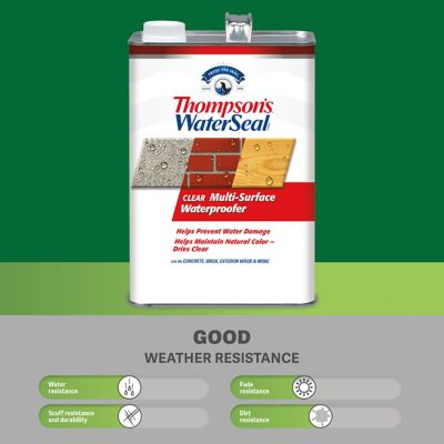Thompson's WaterSeal 1 gal. Clear Multi-Surface Waterproofer at Tractor ...