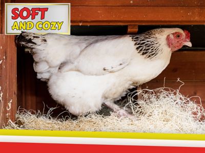 My Favorite Chicken Premium Laying Hen Nesting Pads, Thick Natural Nest ...