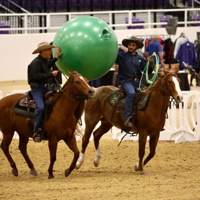 Parelli Horse Play Ball, Green, 42-44 in. at Tractor Supply Co.