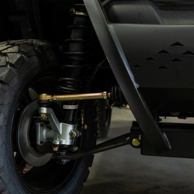 Greyson 4-Seater 48V Electric Golf Cart, Matte Black at Tractor Supply Co.
