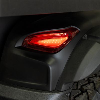 Greyson 4-Seater 48V Electric Golf Cart, Matte Black at Tractor Supply Co.