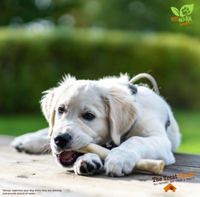 The Treat Shack 7-8 in. Jumbo Rawhide Retriever Rolls Dog Treats, 10 ct ...