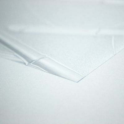 RoomMates Transparent Bamboo Privacy Window Film at Tractor Supply Co.