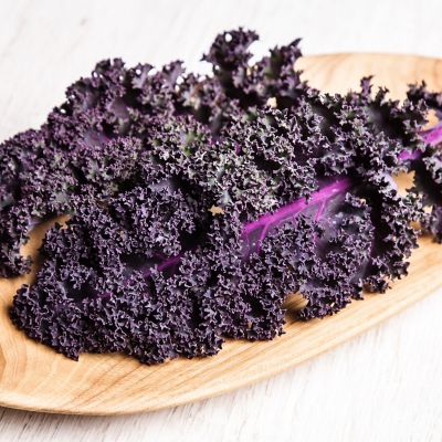 Bonnie Plants Purple Kale, Live Plant, 19.3 oz. at Tractor Supply Co