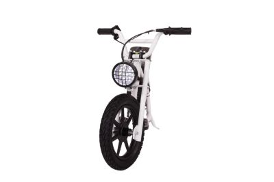 Droyd Youth Weeler Mini E-Bike, White at Tractor Supply Co.