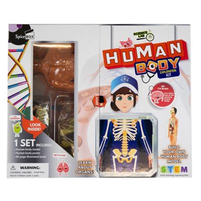 Science Lab Human Body Kit - Unveil the Marvels Within You at Tractor ...