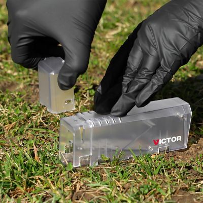 Victor Live Catch Mouse Trap, 1-Pack at Tractor Supply Co.