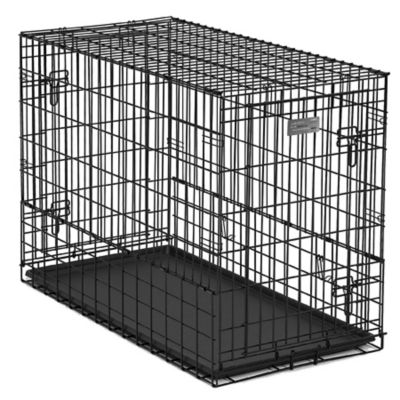 MidWest Homes for Pets Solutions Series Side-By-Side, 42 in.,Black at ...