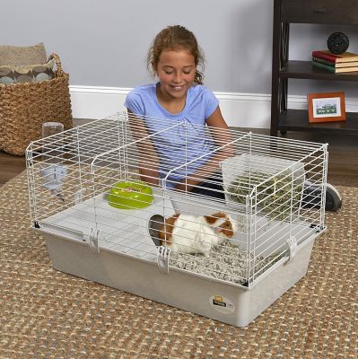 Ferplast Cavie 80 Guinea Pig Cage, 30 in. x 18.5 in. at Tractor Supply Co.