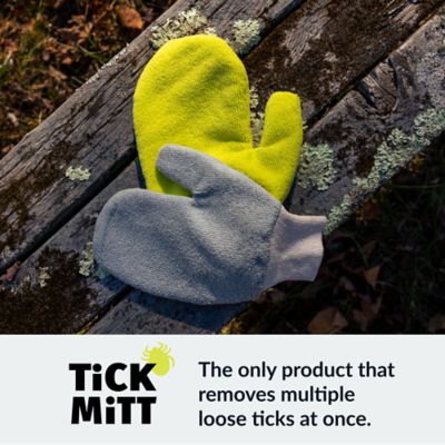 TiCK MiTT Chemical-Free Tick Removal Tool for People and Pets, Gray at ...