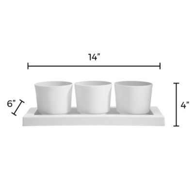 Bloem 1 qt. Plastic Trio Flight Planters with Rectangular Saucer Tray, Casper White, 3-Pack at ...