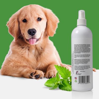 BarkLogic Clean & Clear 2-in-1 Coat & Bed Spray - Natural Mint Scent at ...
