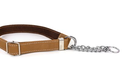 Euro Dog Martingale Leather Dog Collar at Tractor Supply Co.