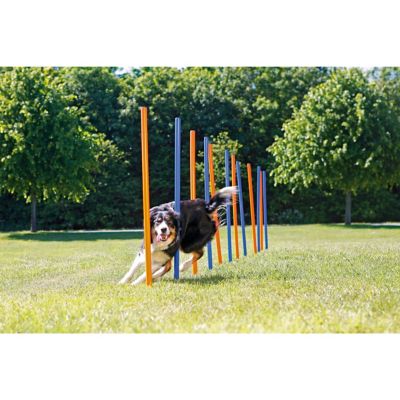 TRIXIE Portable Agility Dog Training Slalom Set, 12-Pack at Tractor ...