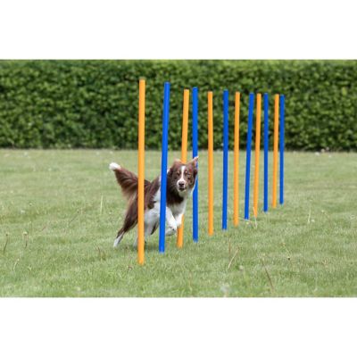 TRIXIE Portable Agility Dog Training Slalom Set, 12-Pack at Tractor ...
