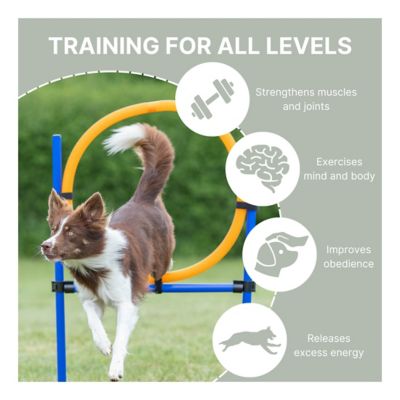 TRIXIE Dog Agility Ring, Portable Dog Hoop, Obstacle Course Equipment ...