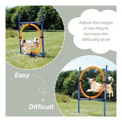 TRIXIE Dog Agility Ring, Portable Dog Hoop, Obstacle Course Equipment ...