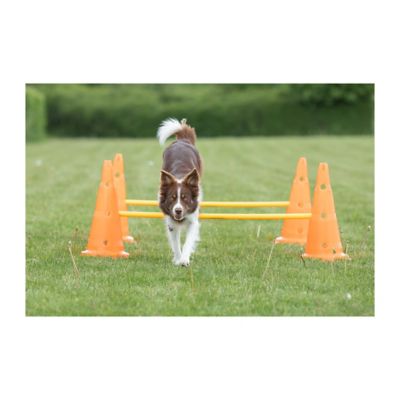 TRIXIE Dog Agility Hurdle Cone Set, Portable Canine Agility Training ...