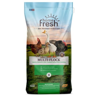 Blue Seal Home Fresh Multi-Flock Breeder Pellet Poultry Feed, 50 lb. at ...