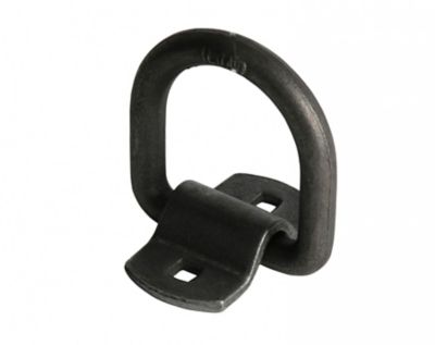 DC Cargo Bolt-On D-Ring, 1/2 in. 4,000 lb. WLL, Black at Tractor Supply Co.