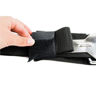 DC Cargo Paddle Buckle Transom Strap, 2 pk. at Tractor Supply Co.