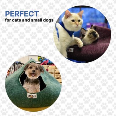 Yeti Pet Cave Pet Bed for Cats & Small Dogs, 100% New Zealand Wool ...