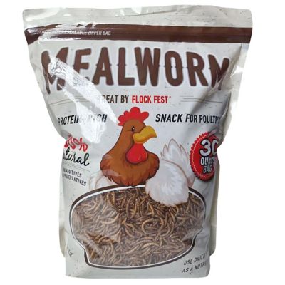 Flock Fest Fickle Fowl Dried Mealworms Poultry Treats, 5 lb. at Tractor ...