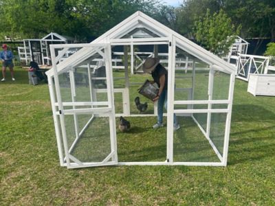 Zylina Modern Universal Poultry Pen, 10 Chicken Capacity, Medium at ...